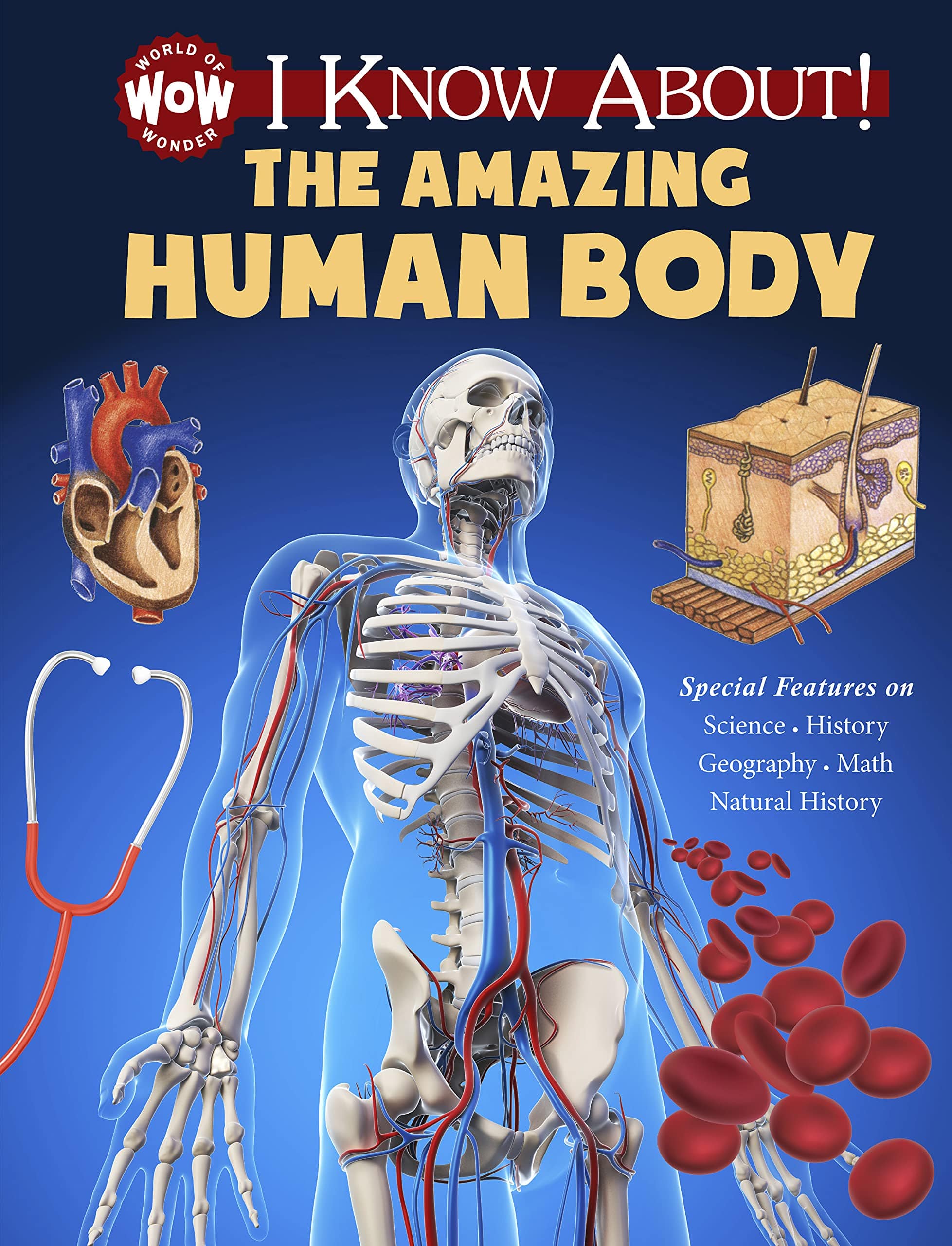 I Know About! The Amazing Human Body – Marissa's Books & Gifts