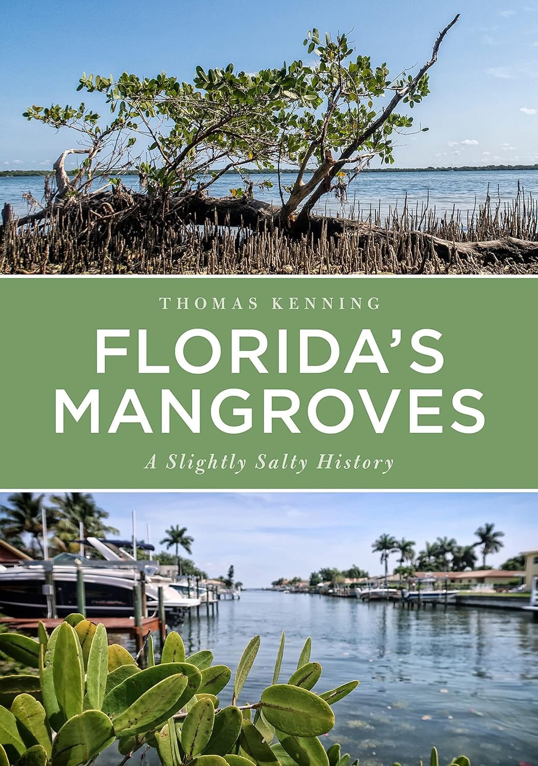Florida’s Mangroves: A Slightly Salty History – Marissa's Books & Gifts