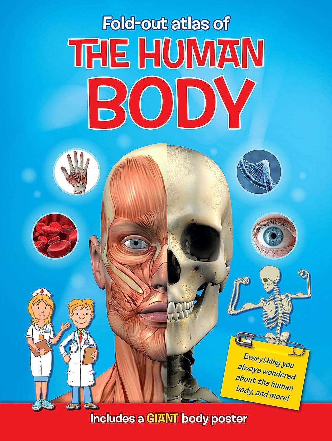 Marissa's Books | Fold-Out Atlas of the Human Body – Marissa's Books ...